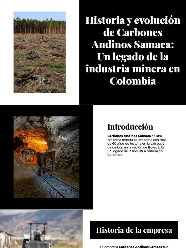 Wepik Historia y Evolucion de Carbones Andinos Samaca Un Legado de La ...