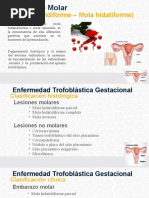 Escala Four | PDF | Coma | Causas de la muerte