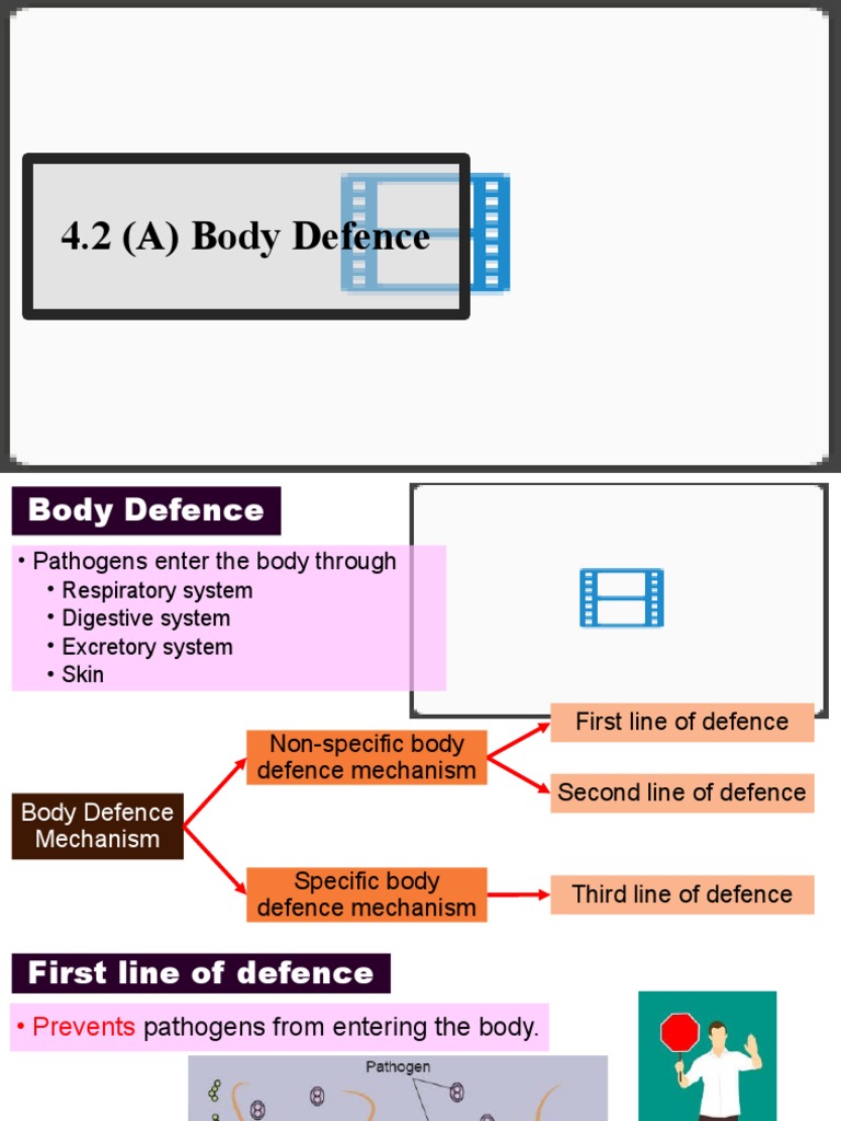 4.2 (A) Body Defence | PDF | Antibody | Mucus