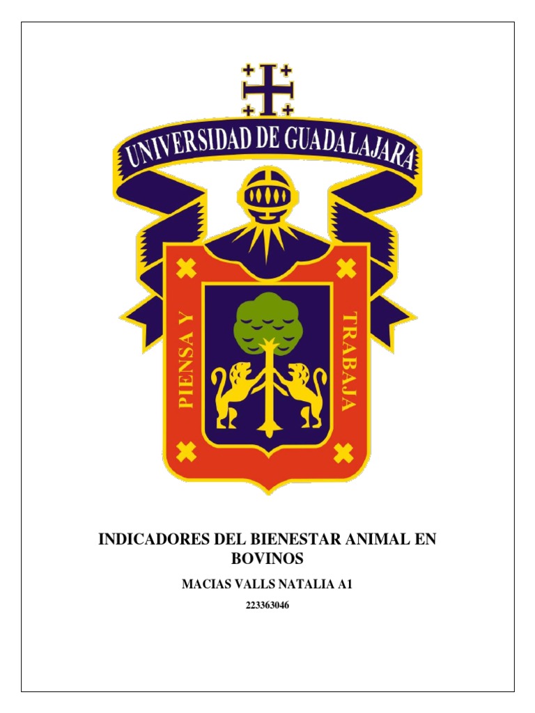 Macias Valls Natalia A1 Indicadores Del Bienestar Animal en Bovinos ...