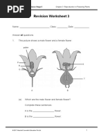 P - Science - 5 - Worksheets - Unit 1 | PDF | Flowers | Petal