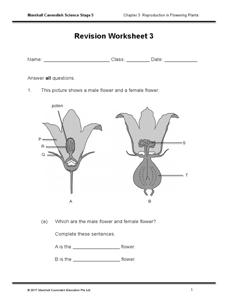 Flowering Plants Reproduction Worksheet | PDF | Flowers | Fruit