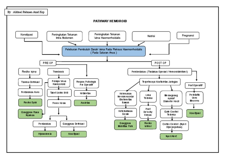 Pathway Hemoroid | PDF