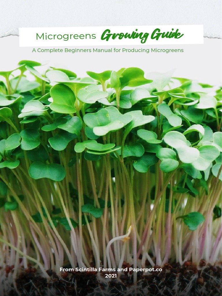 Microgreens Growing Guide | PDF | Seed | Compost