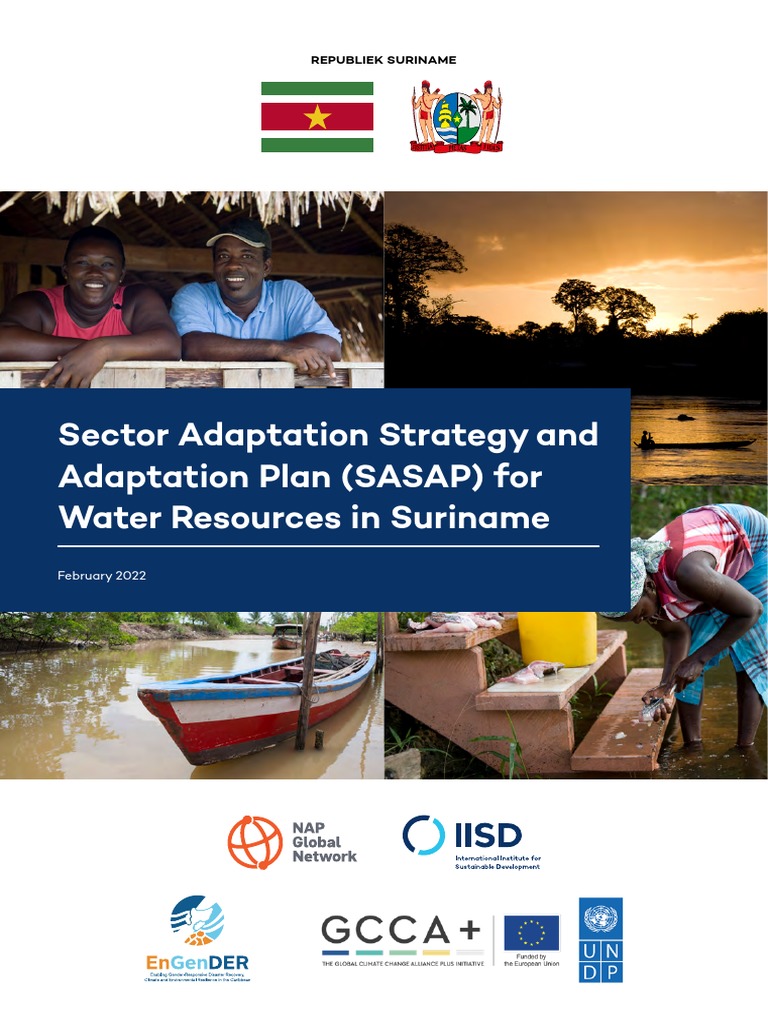 Napgn en 2022 Suriname Sasap | PDF | Inter American Development Bank ...