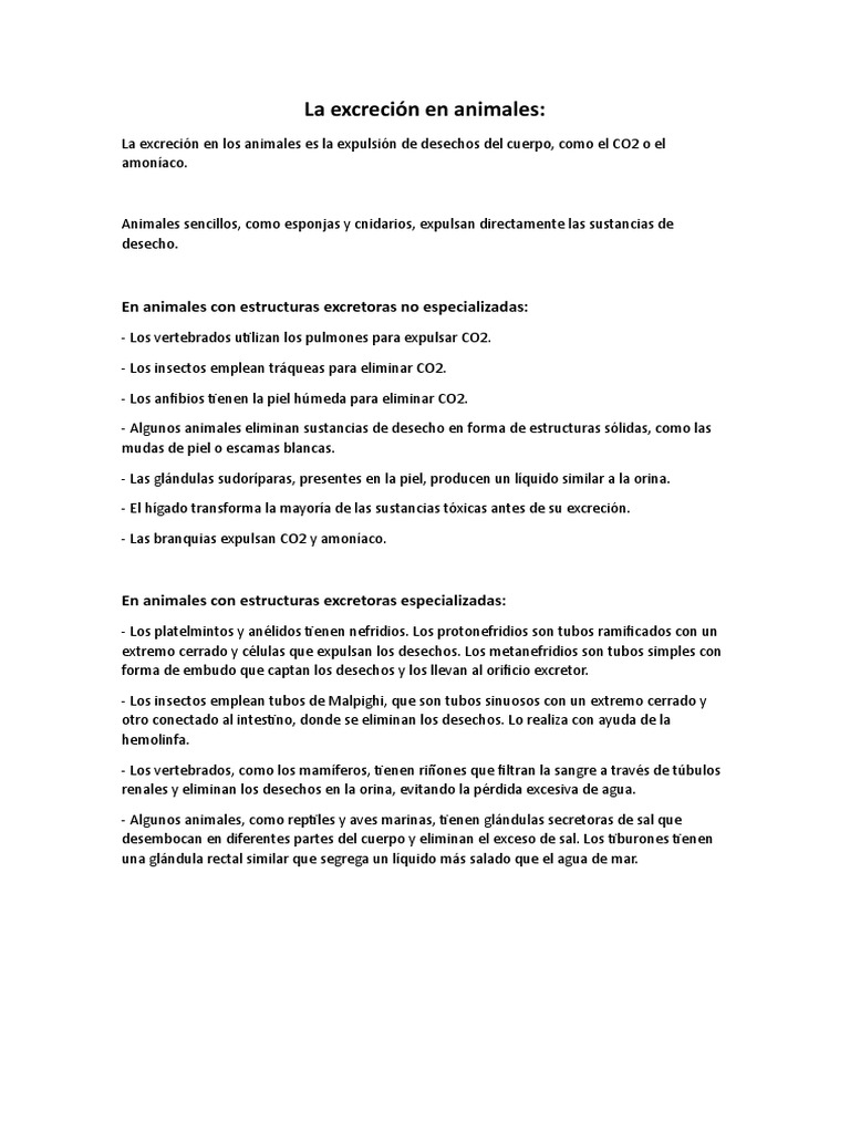 Excreción Animal: Mecanismos y Estructuras | PDF