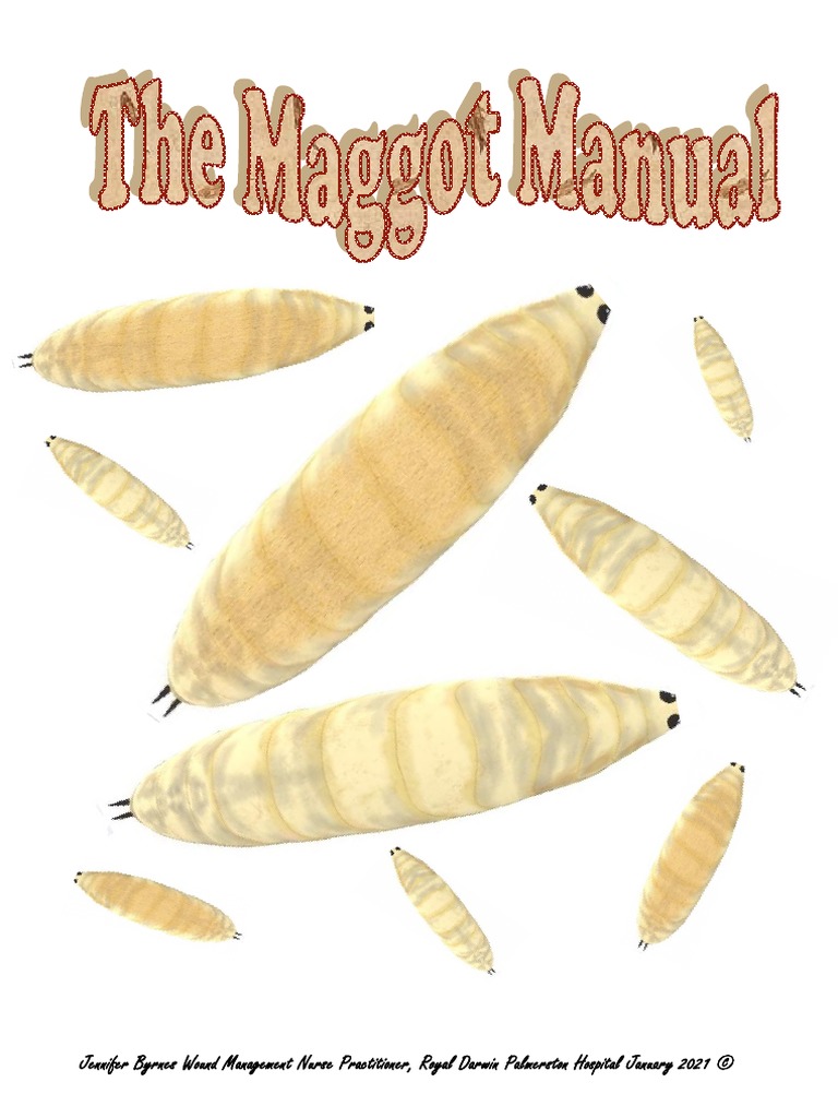 Maggot Manual 2021 | PDF | Wound | Biofilm