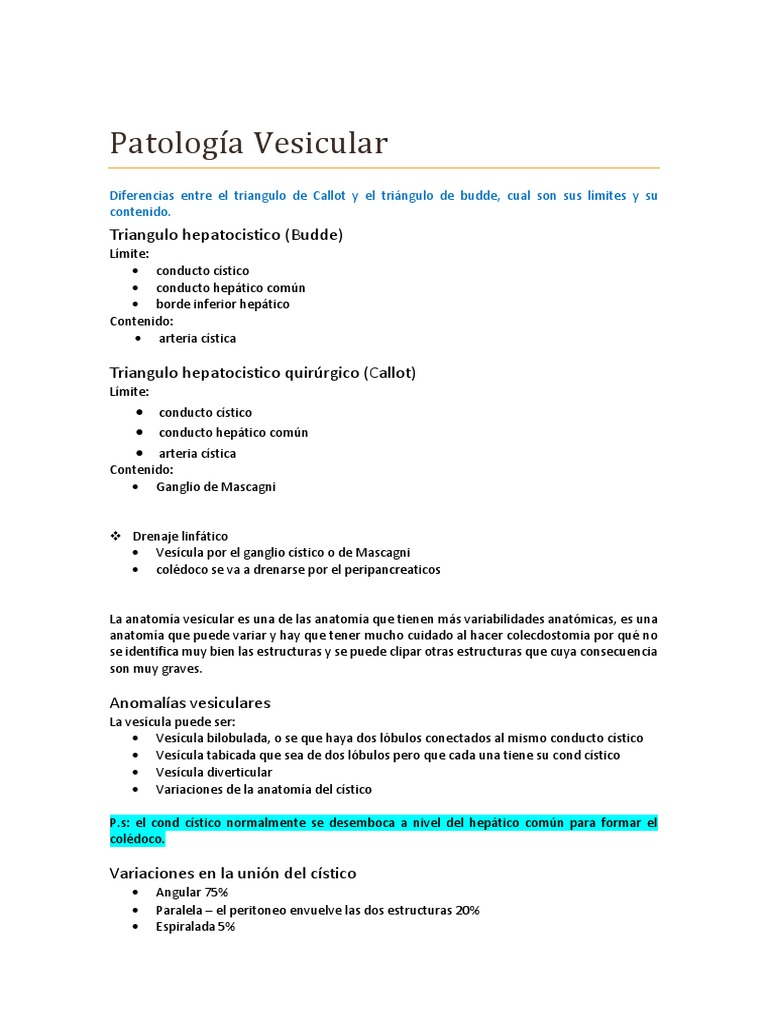 Anatomía y Patología de la Vesícula Biliar | PDF | Vesícula biliar ...
