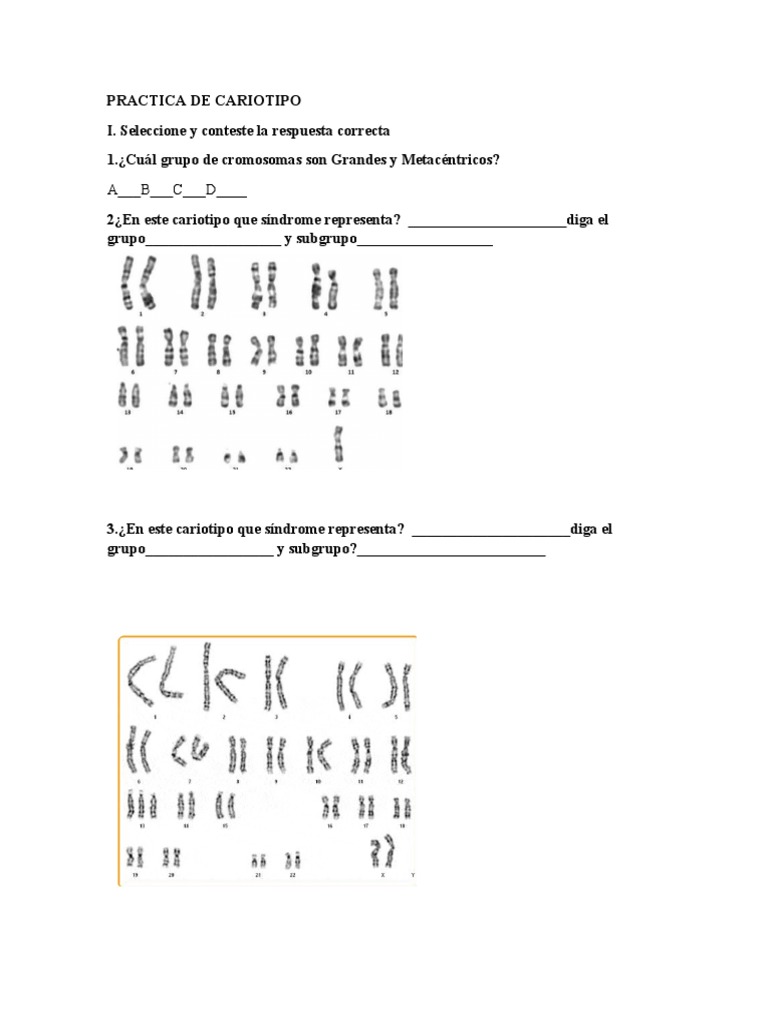 Practica de Cariotipo | PDF | Cariotipo | Cromosoma