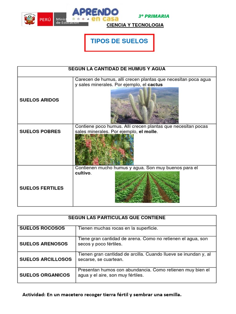 Tipos de Suelos: Características y Usos | PDF | Ciencias sociales ...