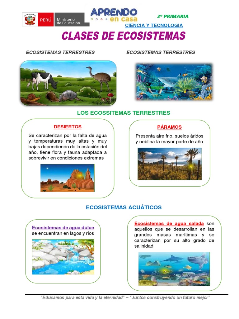 Clases de Ecosistemas | PDF