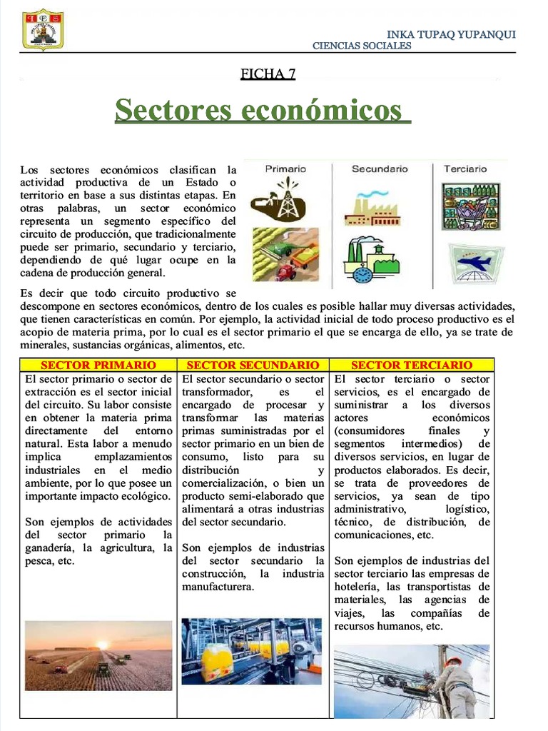 Ficha 7 Sectores Economicos | PDF
