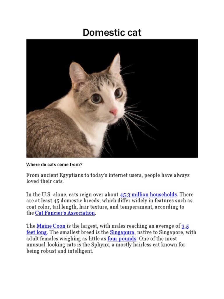 Domestic Cat | PDF | Cats | Felids