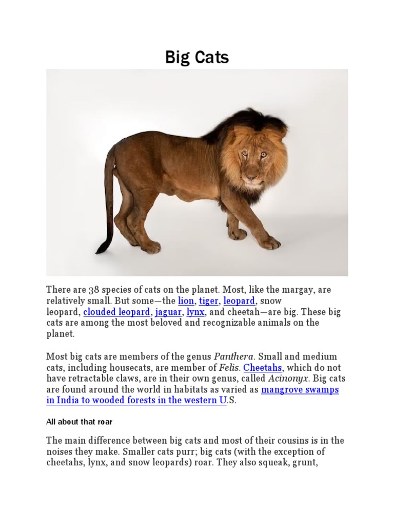 Big Cats: Species, Habitats, and Conservation | PDF | Science & Mathematics