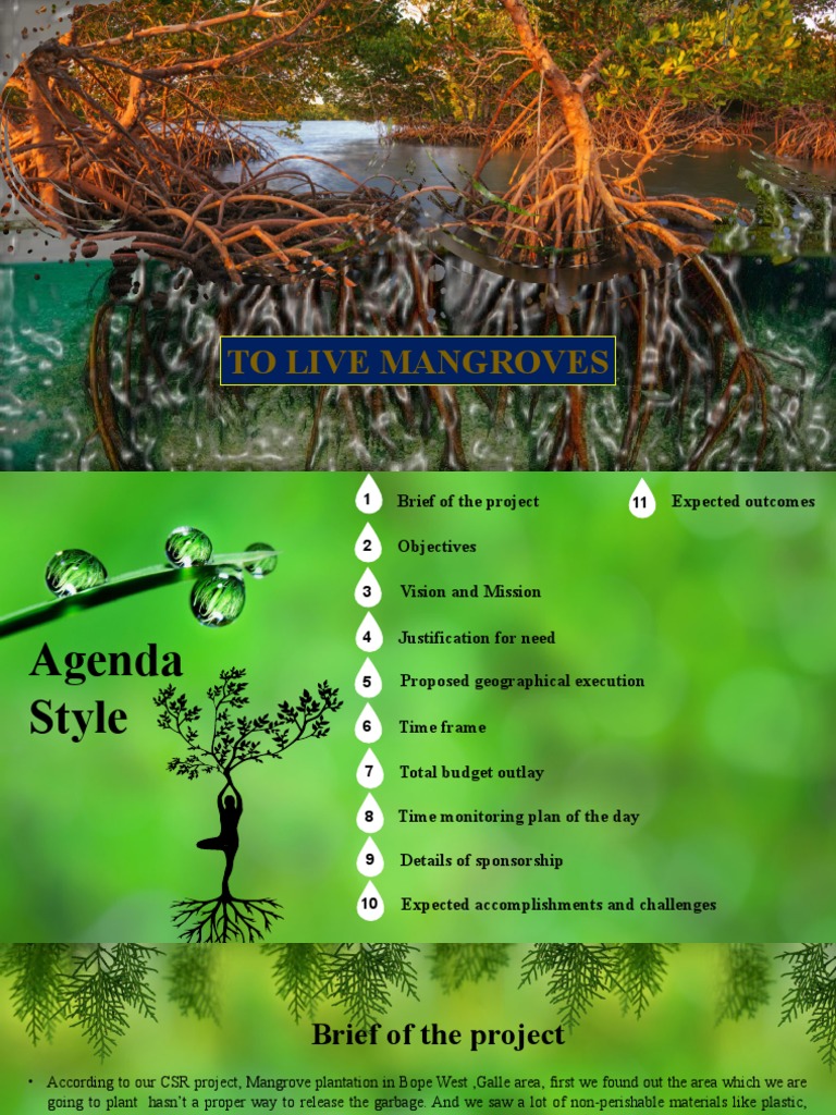 CSR Project Proposal | PDF | Mangrove | Ecosystem