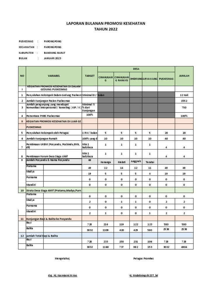 Laporan Promkes 2022 | PDF