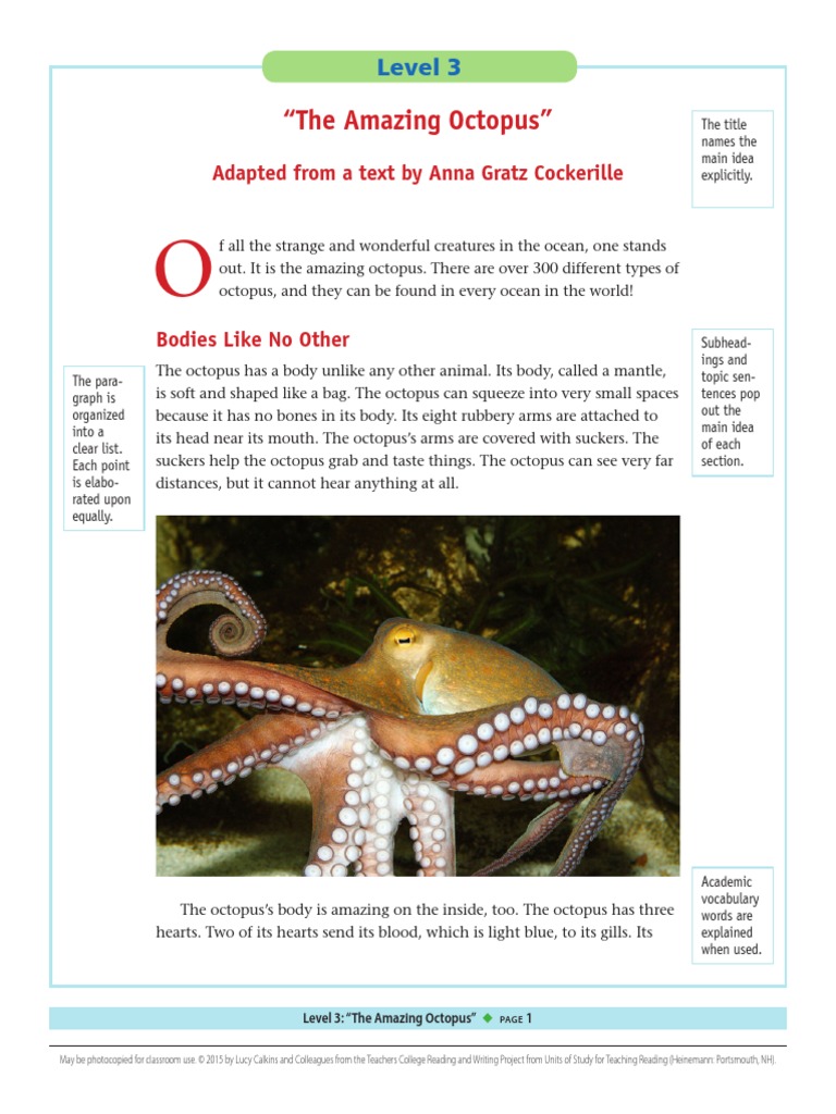G5B2 AmazingOctopus Level 3-1rnbm7s | PDF | Octopus | Predation