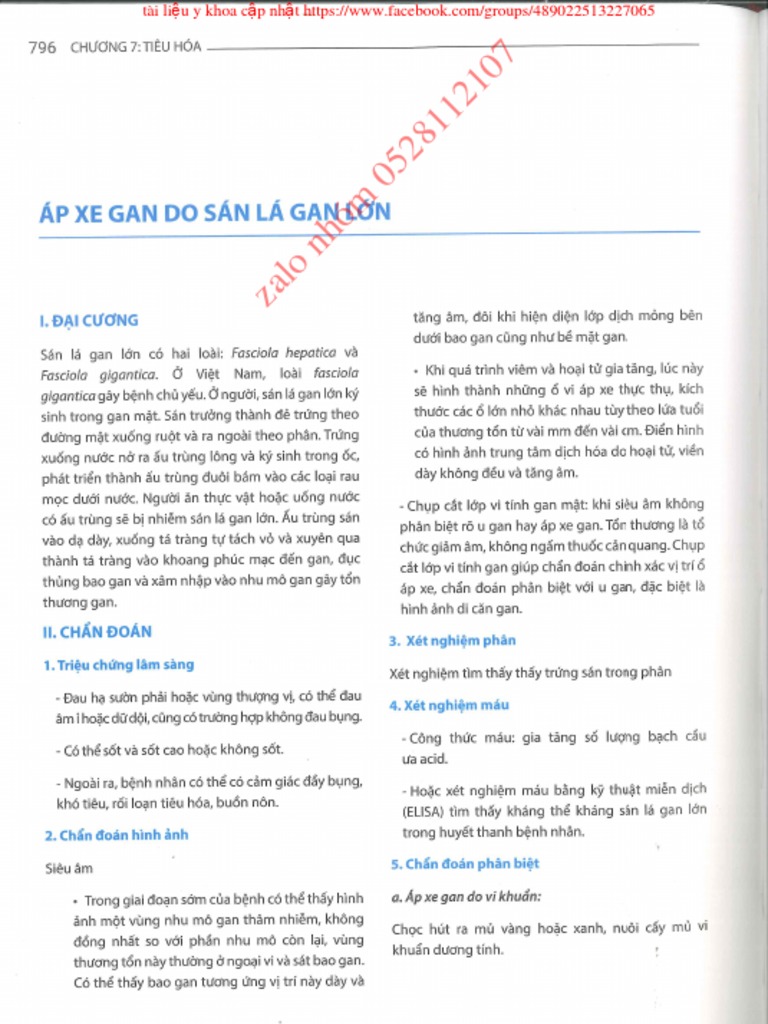 Áp Xe Gan Do Sán Lá Gan L N | PDF