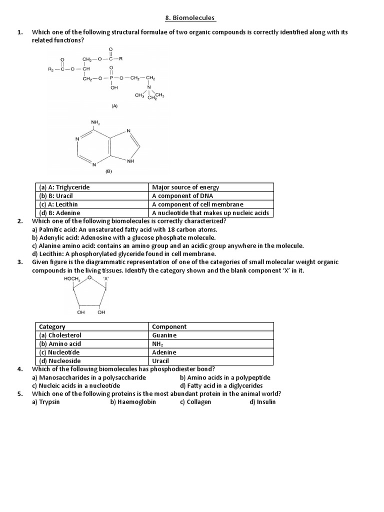 Understanding Biomolecules and Their Functions | PDF | Enzyme | Dna