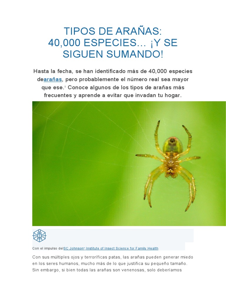 Arañas | PDF | Araña