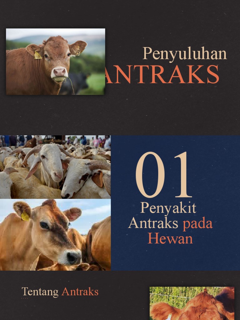 Antraks | PDF