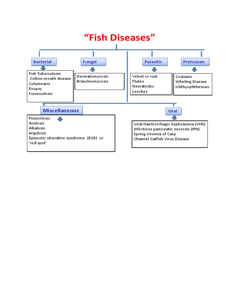 Branchiomycosis in Fish Diseases | PDF | Infection | Virus