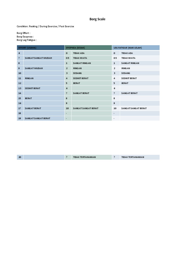 Borg Scale | PDF