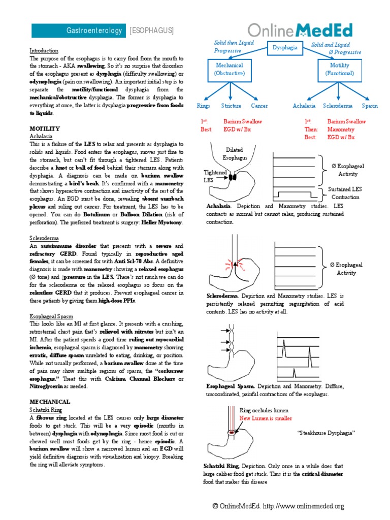 Gastroenterology Esophagus Pdf Esophagus Gastroesophageal Reflux