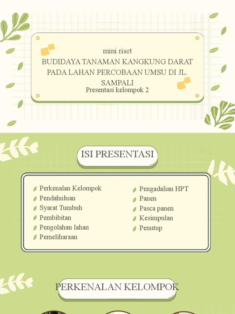 Mini Riset Budidaya Tanaman Kangkung Darat Pada Lahan Percobaan Umsu Di ...