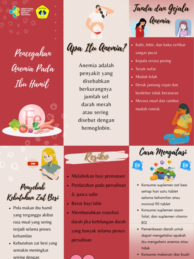 Leaflet Anemia | PDF