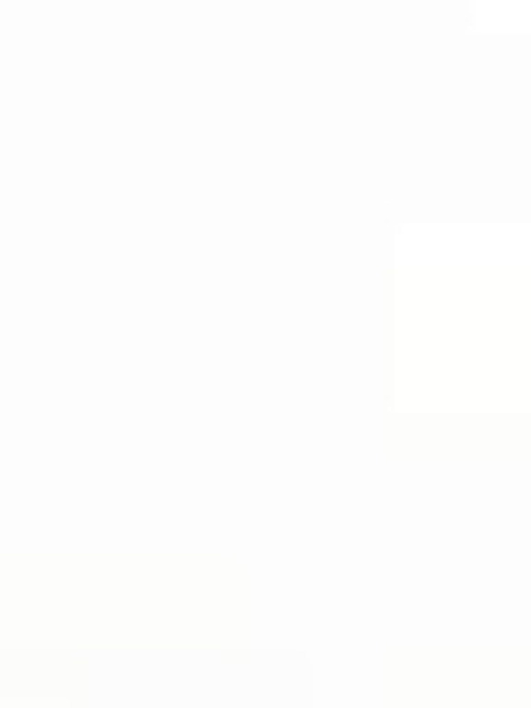 Blank Documents 2 | PDF