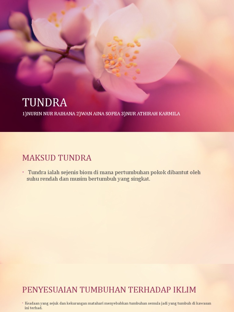2 Bakti-Tundra Aina - 1 | PDF