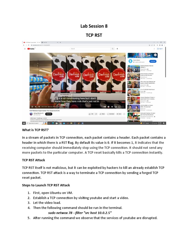 Ramesh Kumar - Lab 8 - Tcp Rst | PDF