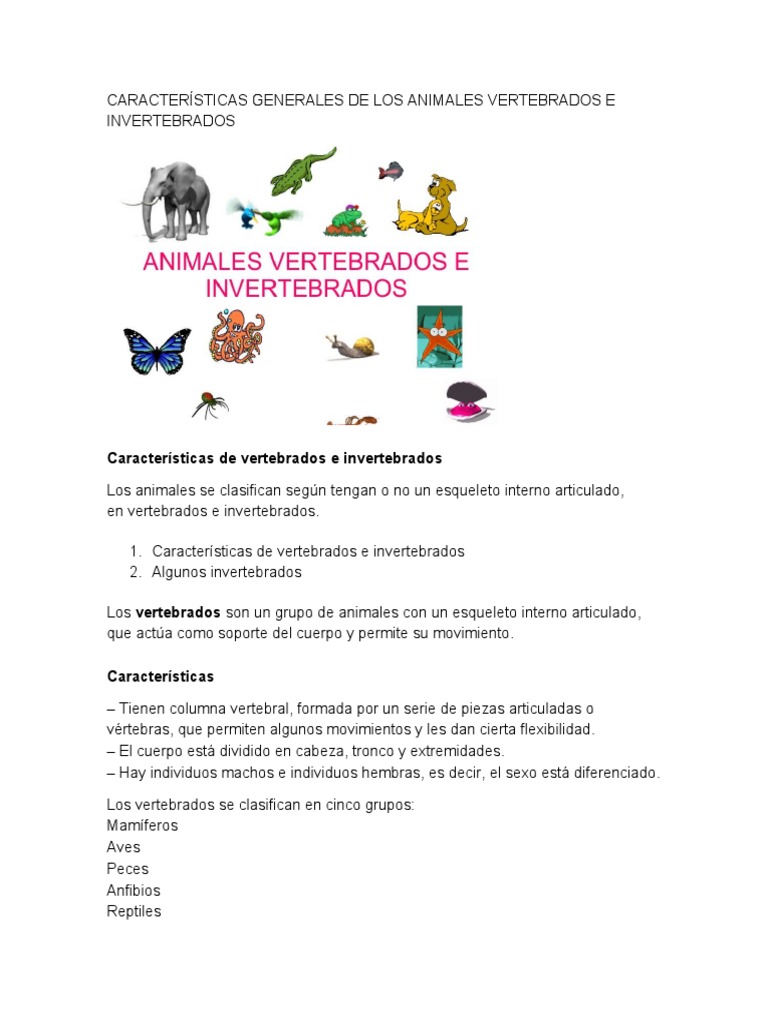 Características Generales de Los Animales Vertebrados e Invertebrados ...