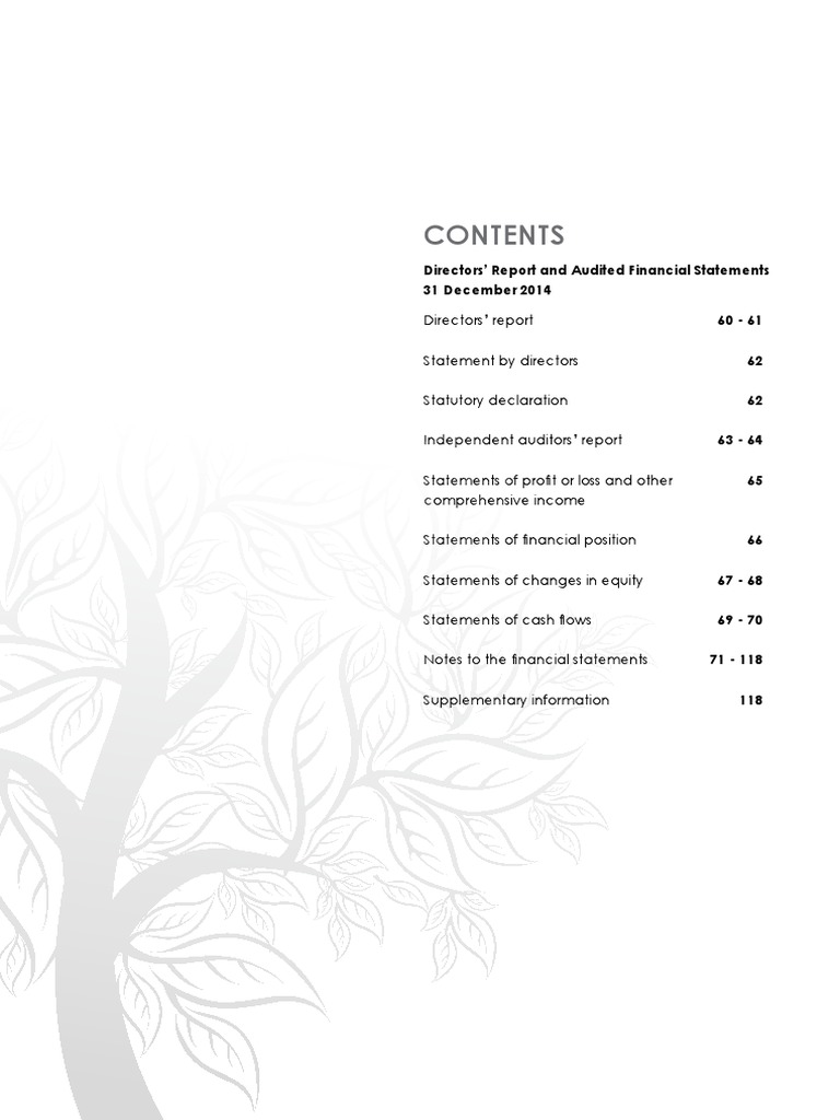 GPB Financial Statement 2014 | PDF | Financial Audit | Audit