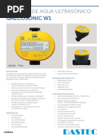 Ficha Técnica Macromedidor Ultrasónico | PDF | Ultrasonido | Ingeniería mecánica
