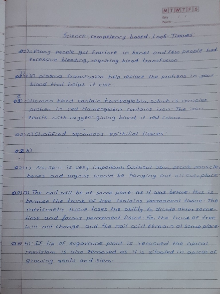 Lno6 Assignment Krishna Agrawal Pdf 