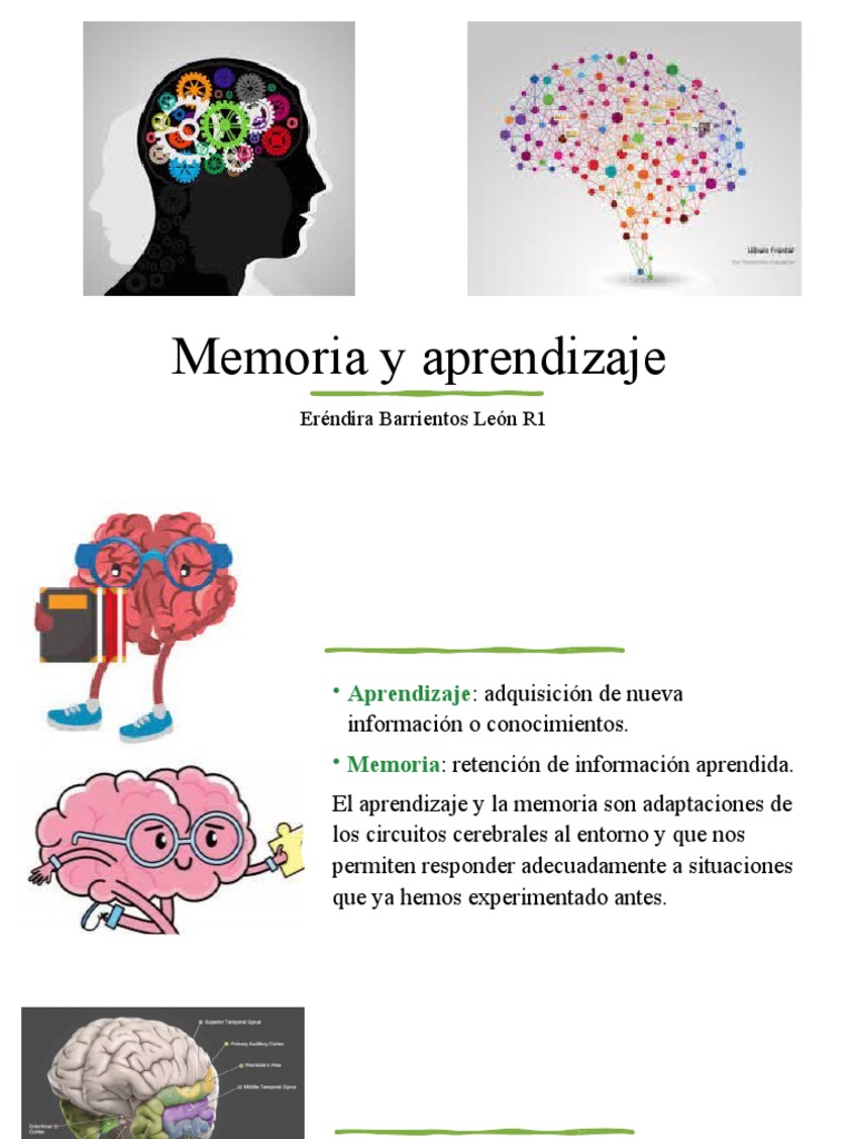 Memoria y Aprendizaje | PDF | Memoria | Receptor Nmda
