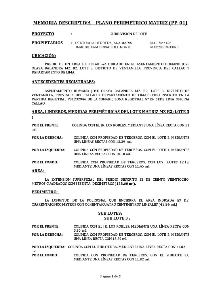 Memoria Descriptiva-Sublote 19 y 19a | PDF | Hogar, jardinería y bricolaje
