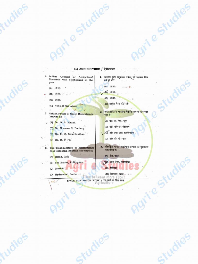 Raeo Paper | PDF