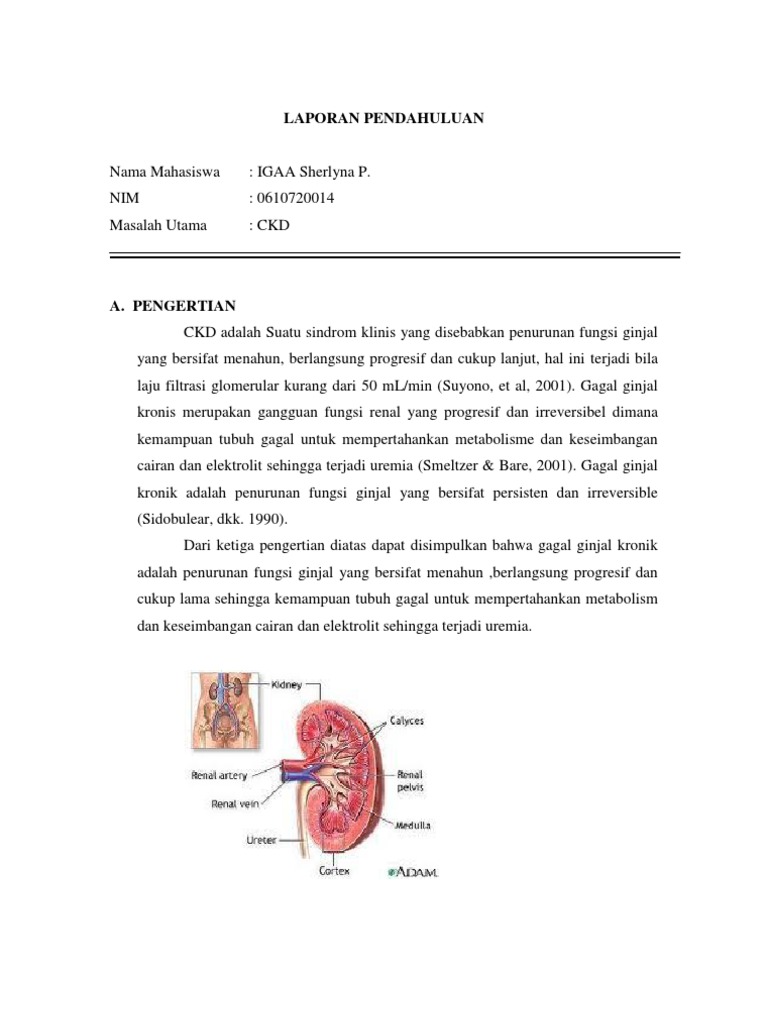 LP CKD | PDF