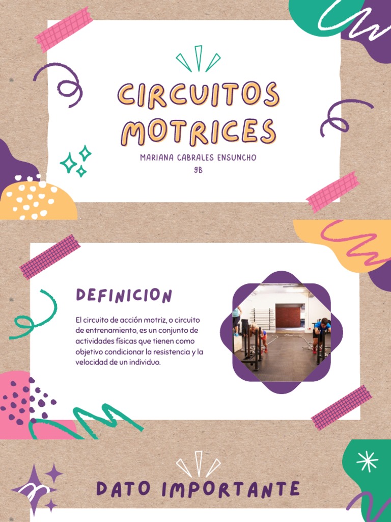 Circuitos Motrices en Educación Física | PDF
