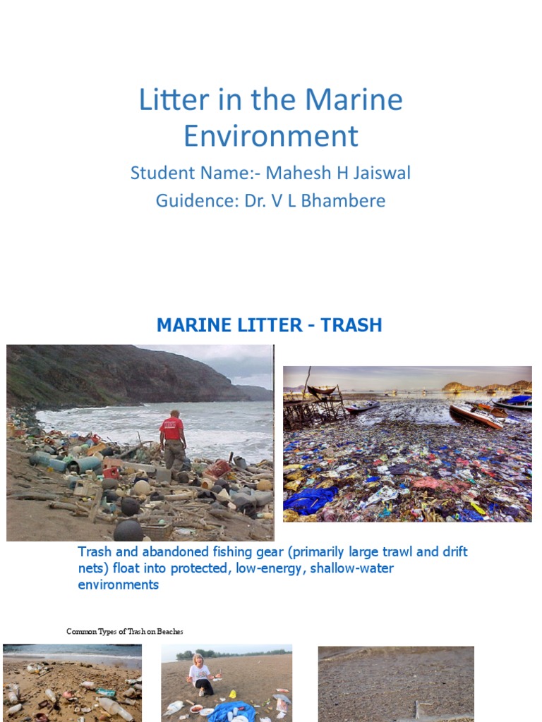 SierraClub Marine Litter Presentation | PDF | Plastic | Biodegradation