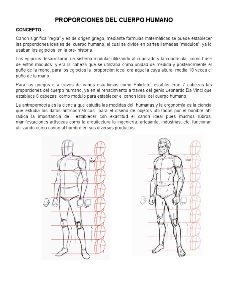 Canon Del Cuerpo Humano Pdf
