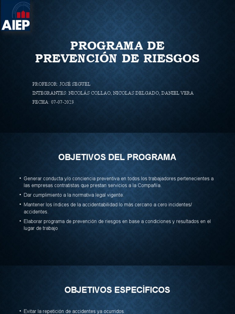 Programa de Prevencion de Riesgos | PDF | Negocios | Finanzas y dinero