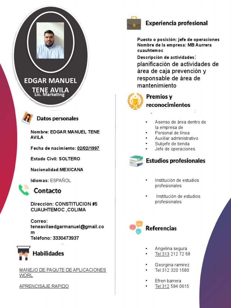 14 - CV Formato Editable. - 015634 | PDF | Business