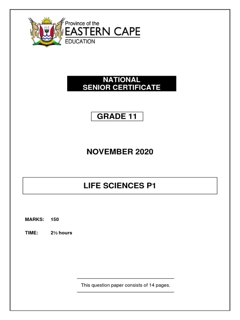 Life Sciences p1 Nov 2020 | PDF | Kidney | Insulin
