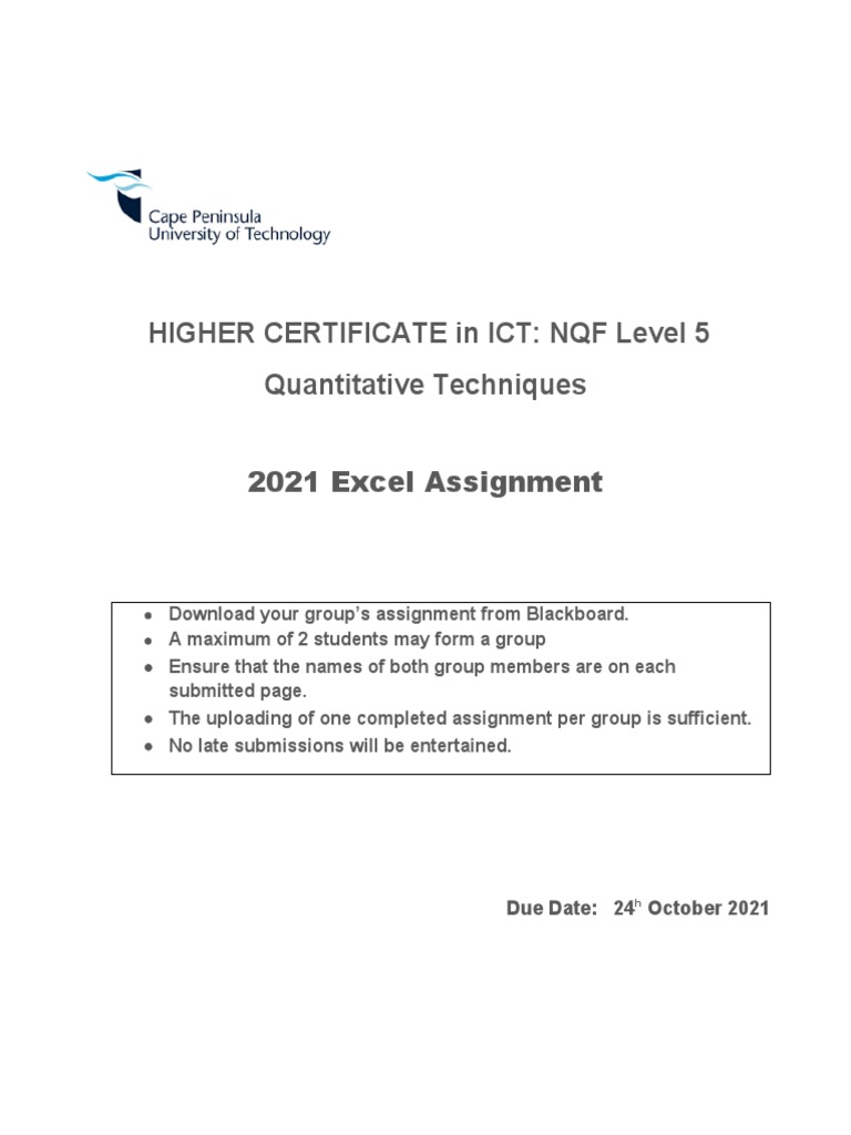 Excel Project Assignment (1) | PDF | Microsoft Excel | Spreadsheet