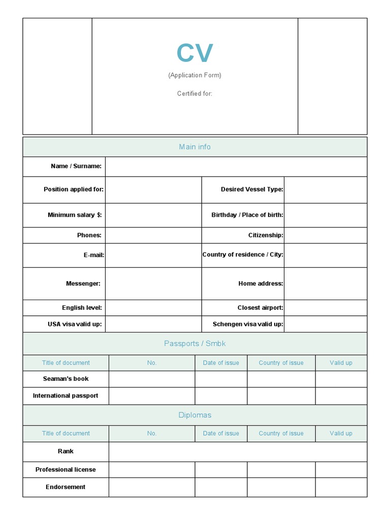 CV Form | PDF | Passport | National Security