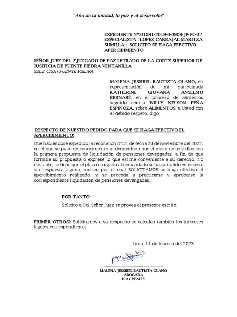 Solicito Se Haga Efectivo Apercibimiento | PDF